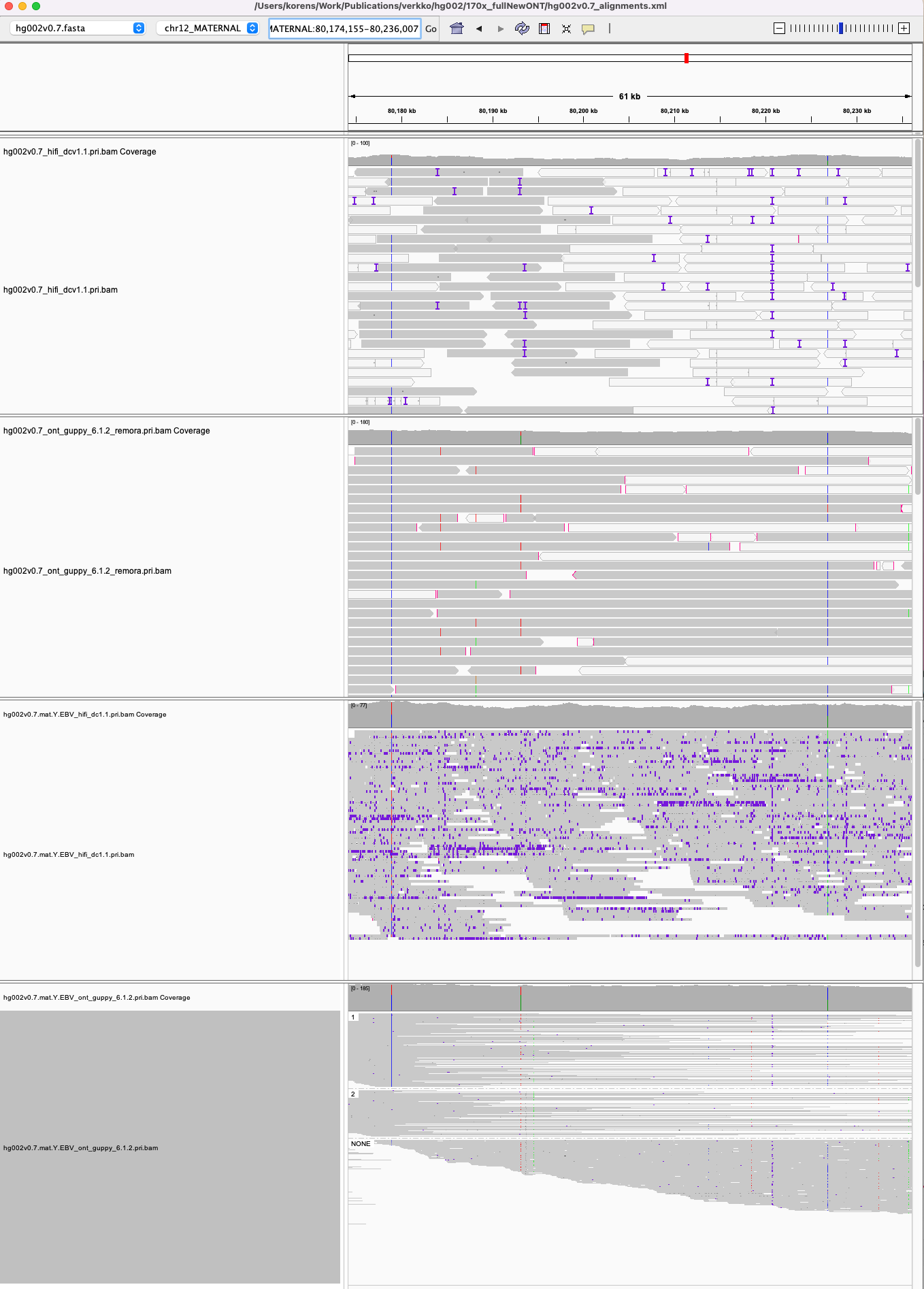 Issue: chr12_MATERNAL:80226830-80244525 · Issue #383 · marbl/HG002-issues · GitHub