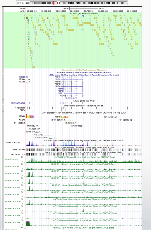 GitHub - antonsokol57/hse_hw3_chromhmm