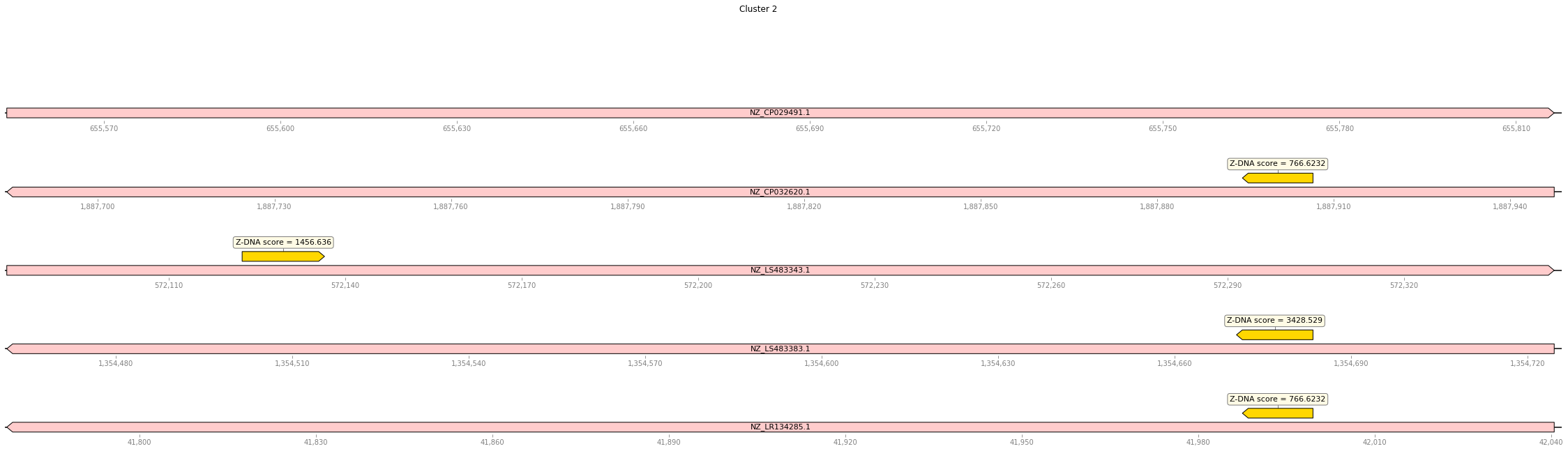 GitHub - antonsokol57/hse22_project