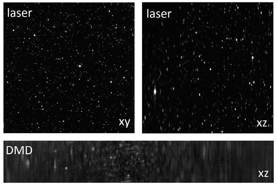 GitHub - davidebrescia/LSFM_PointSpreadFunction_analysis: This software ...