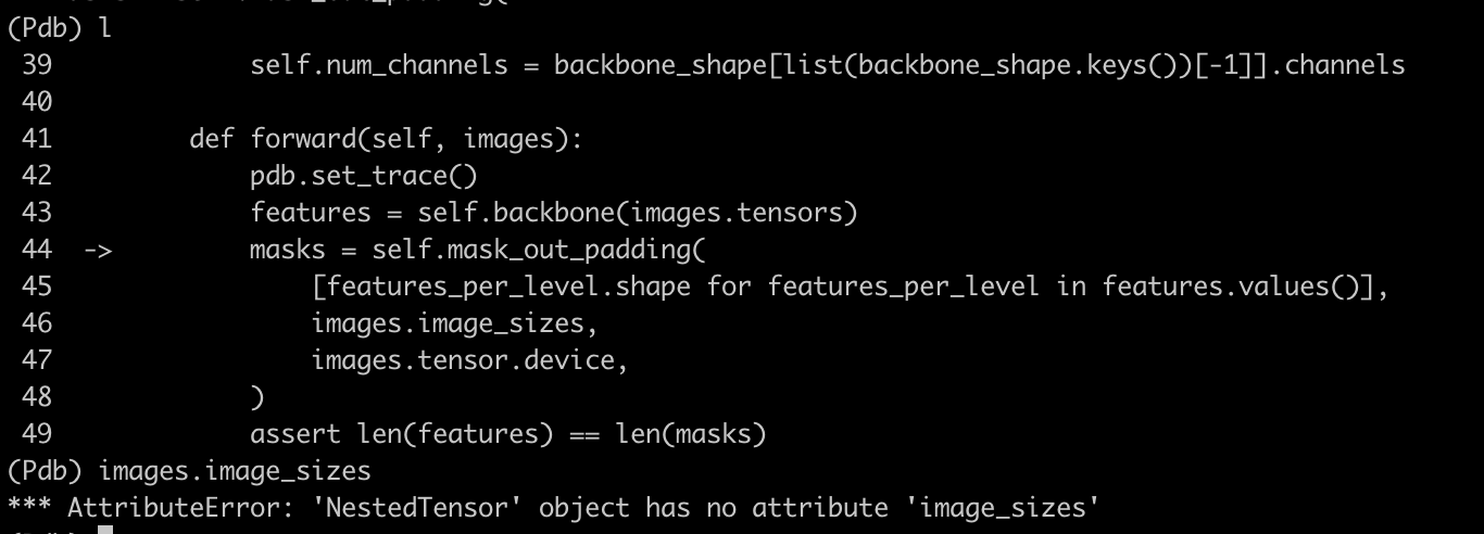 Input type of Detectron2 DETR · Issue #136 · facebookresearch/detr · GitHub