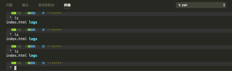 Drag VSCode to Another Screen, terminal(iterm2+zsh) display error ...