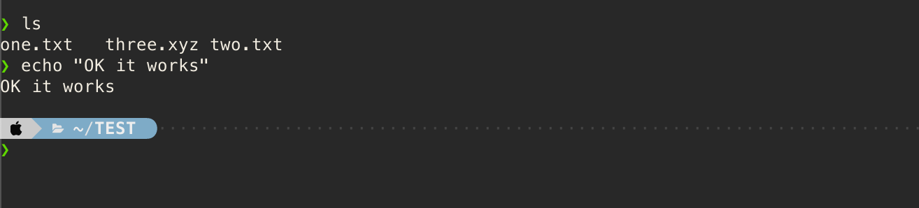 Using `. ~/.zshrc` to reload the config seems to break Transient Prompt · Issue #1402 · romkatv ...