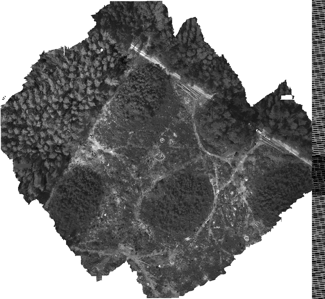 Orthophoto of multispectral · Issue #1070 · OpenDroneMap/ODM · GitHub