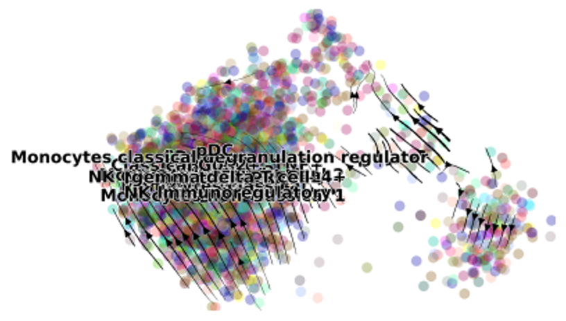 Fixed spliced/unspliced proportion · Issue #825 · theislab/scvelo · GitHub