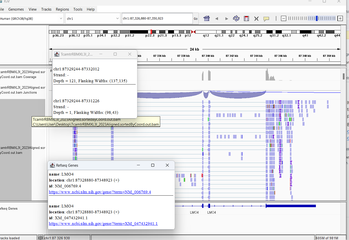 strands for reverse stranded · Issue #1432 · igvteam/igv · GitHub