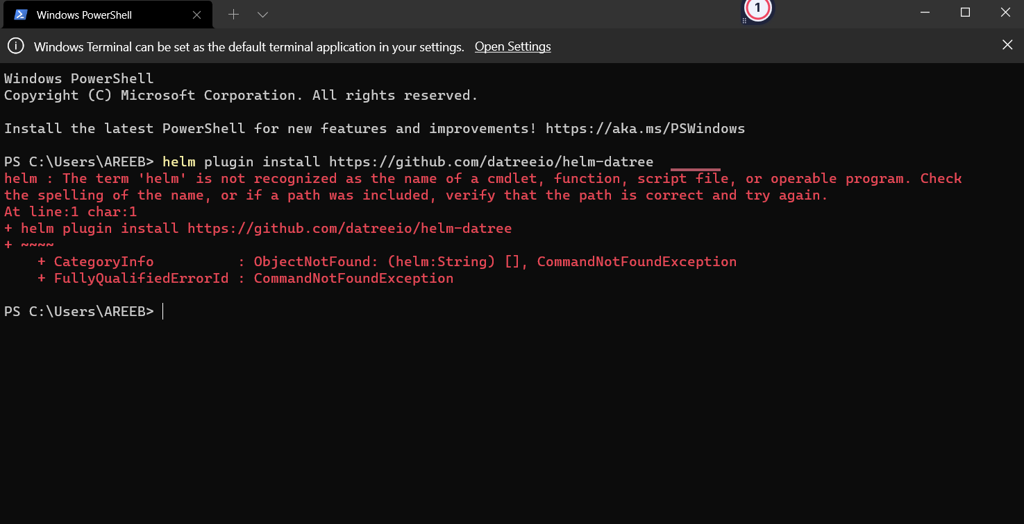 Datree helm plugin in windows not install installed · Issue #10747 · helm/helm · GitHub