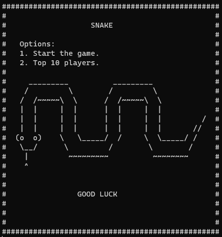 GitHub - denisscut/console-snake-game