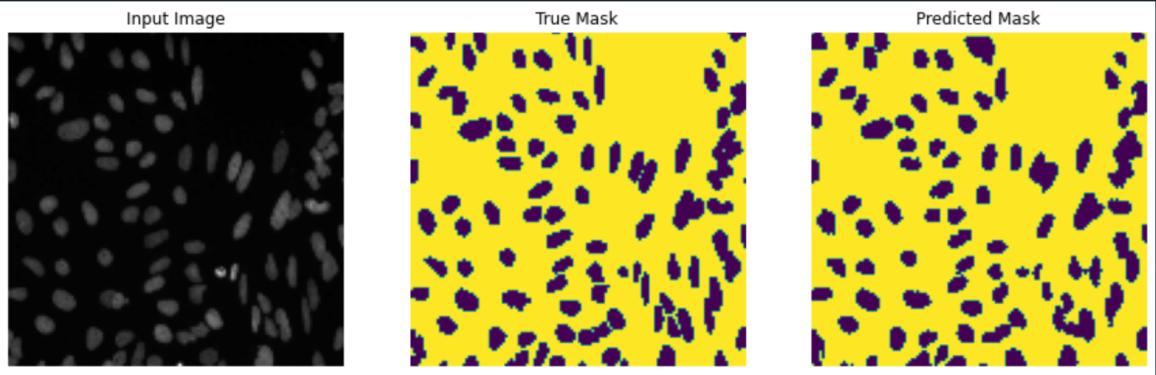 GitHub - amerajat/AI07-Nuclei-Semantic-Segmentatio