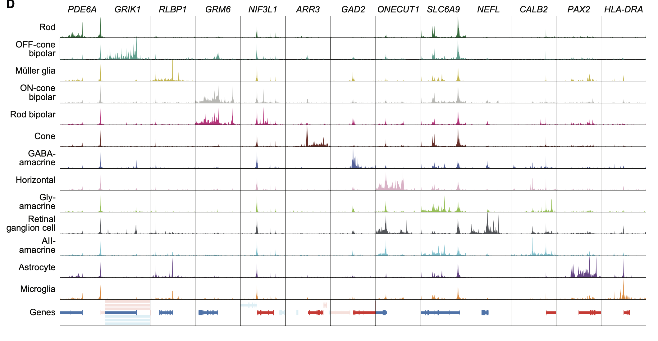 Coverage plot for multiome data · satijalab seurat · Discussion #7068 · GitHub