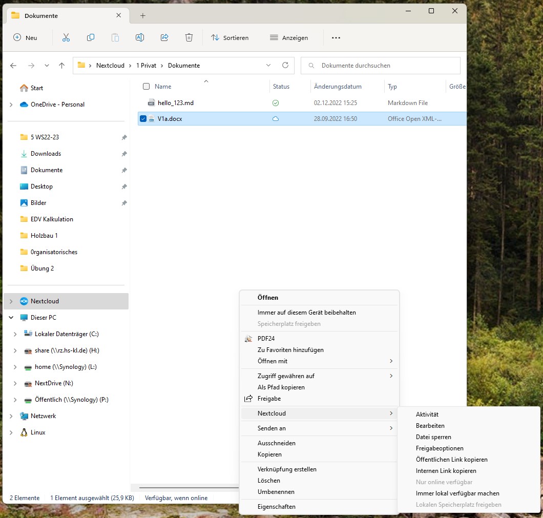move explorer options in windows 11 to new context menu · Issue #5260 ...