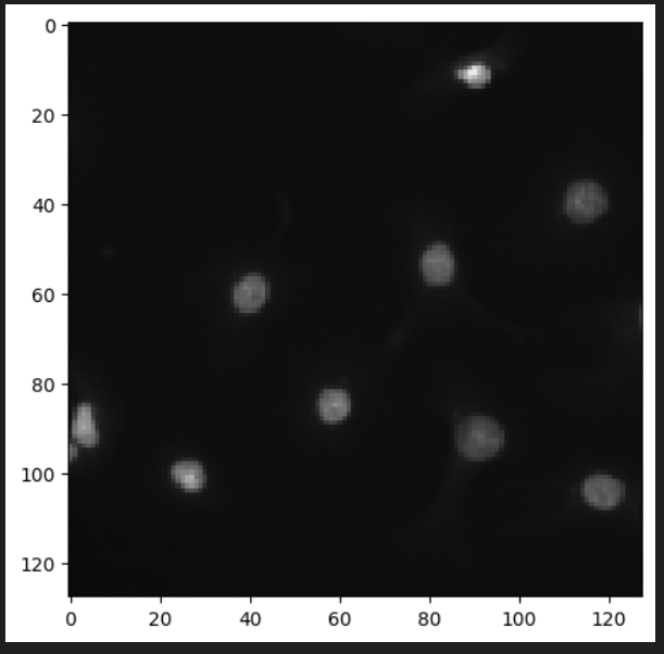 GitHub - Rhythm269/Image_Segmentation_UNet: Image Segmentation task is ...