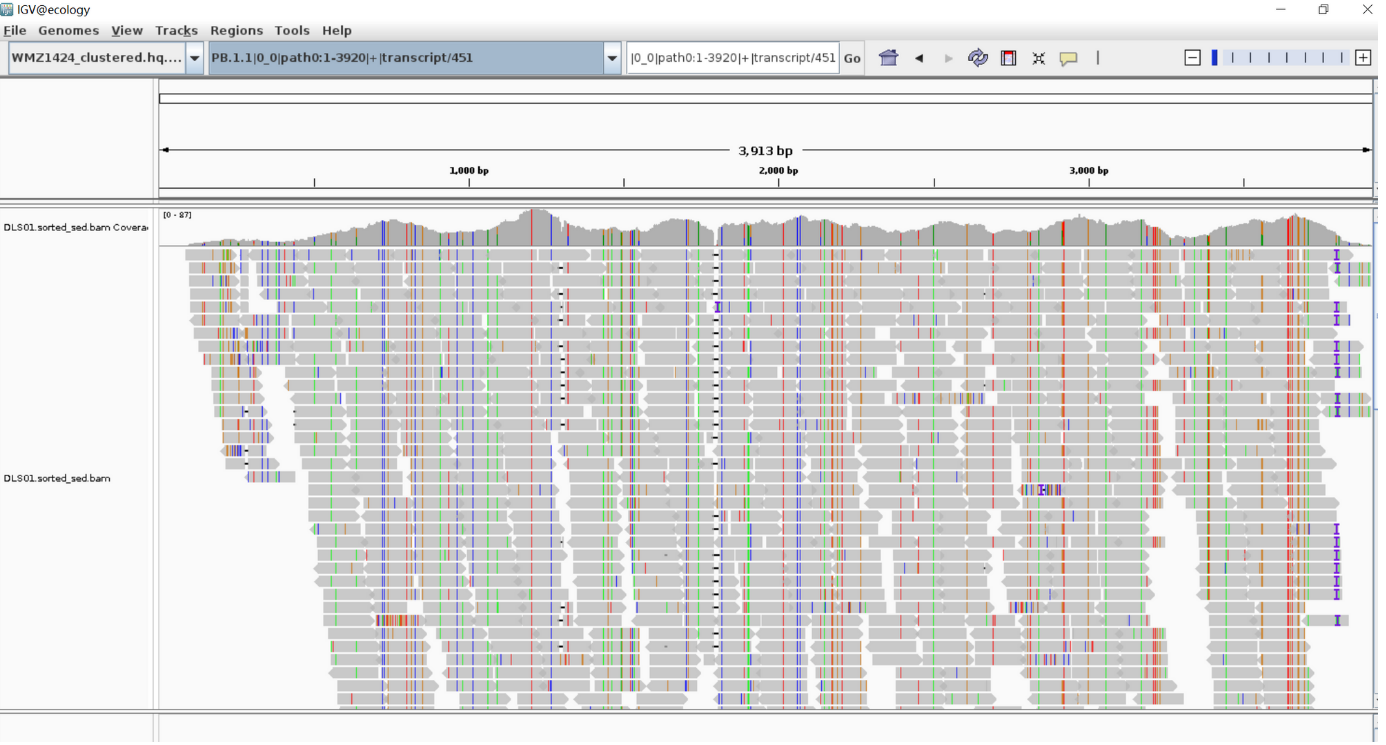 vcf file has no snp · Issue #4100 · vgteam/vg · GitHub