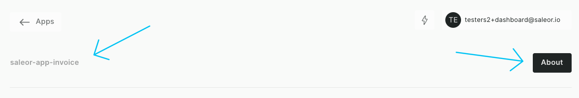 Hide toolbar in AppPage · Issue #17 · saleor/apps · GitHub