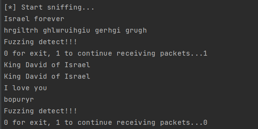 GitHub - ohad1s/Fuzzing_detector