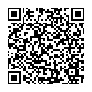 GitHub - upadhyay02nitesh/QRcodegenerator