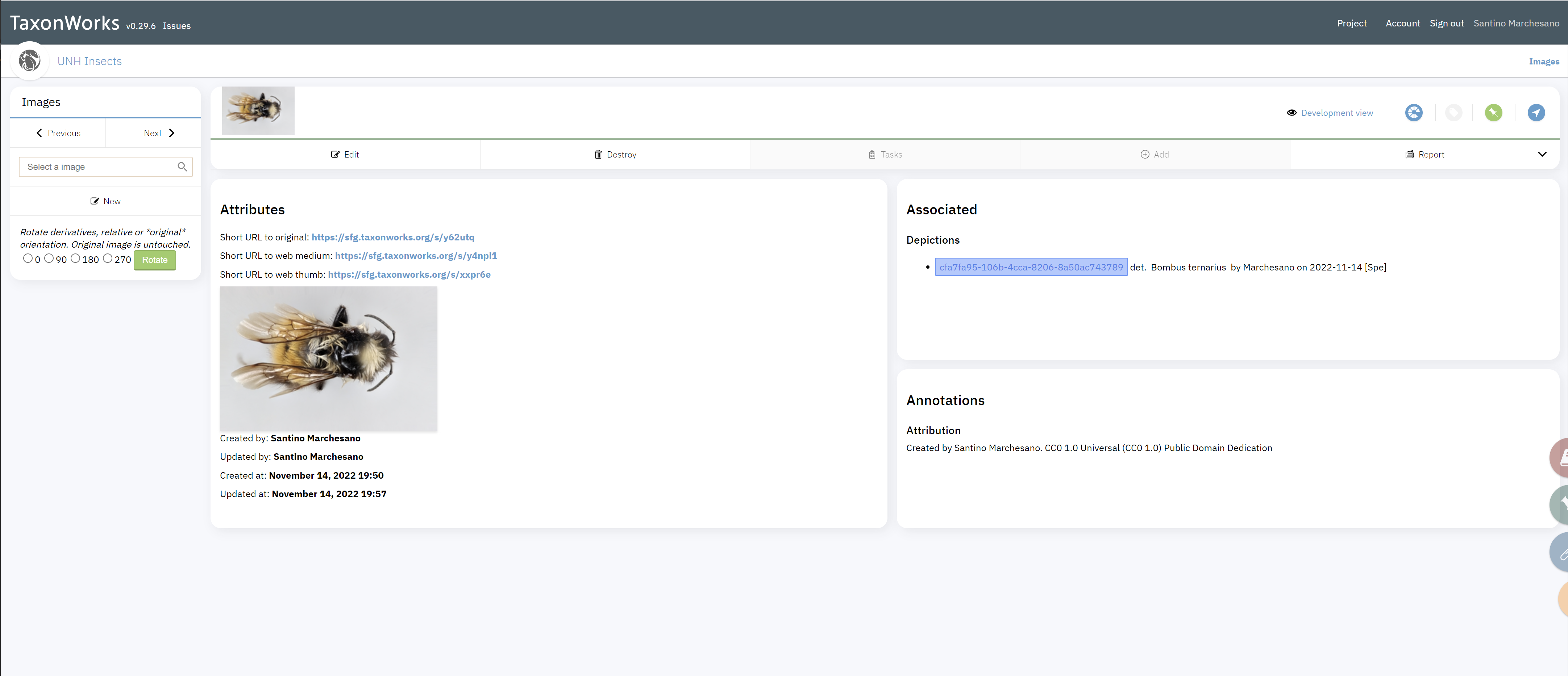 Scale bars on images · Issue #3194 · SpeciesFileGroup/taxonworks · GitHub