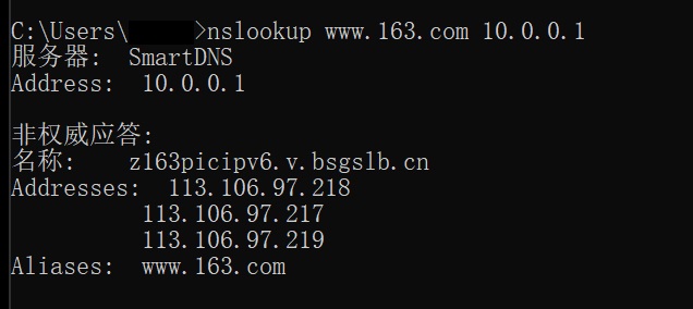 使用新版不会用了...怎么设置国内网站返回都是多个ip · Issue #1122 · pymumu/smartdns · GitHub
