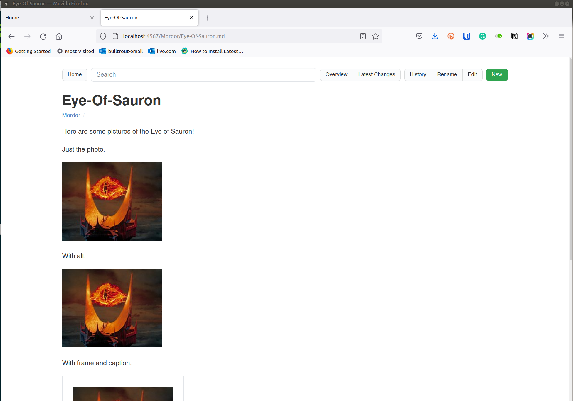 Locally Cloned Gollum Demo Does Not Render Images · Issue #1807 · gollum/gollum · GitHub