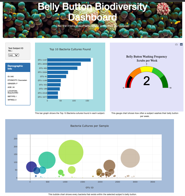 GitHub - erinmoneil2/Belly_Button_Biodiversity