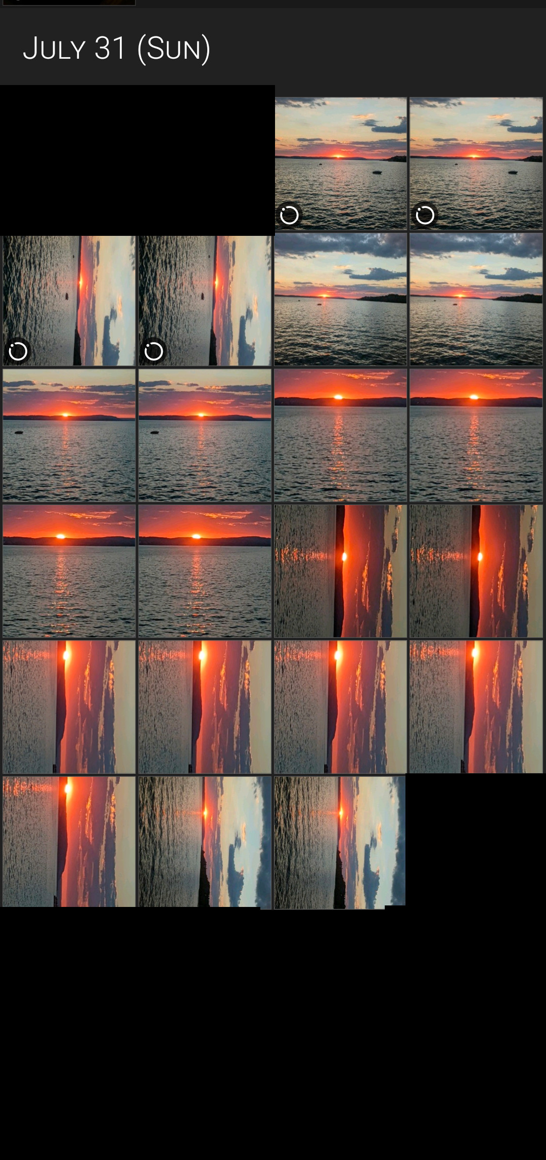 duplicate images in newly added items · Issue #293 · deckerst/aves · GitHub