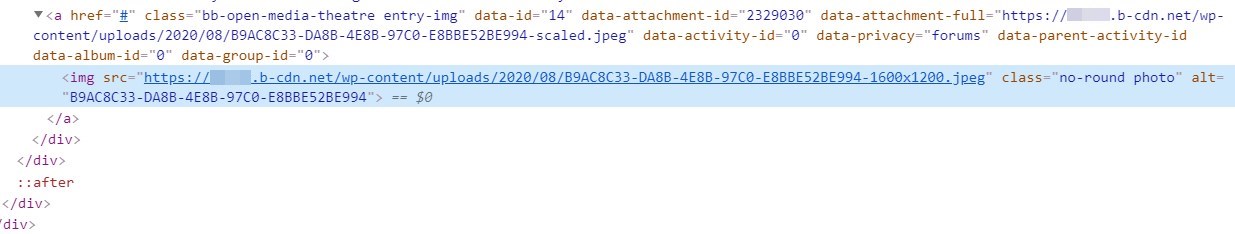 Images in activity feeds not being allowed to have their URLs replaced ...