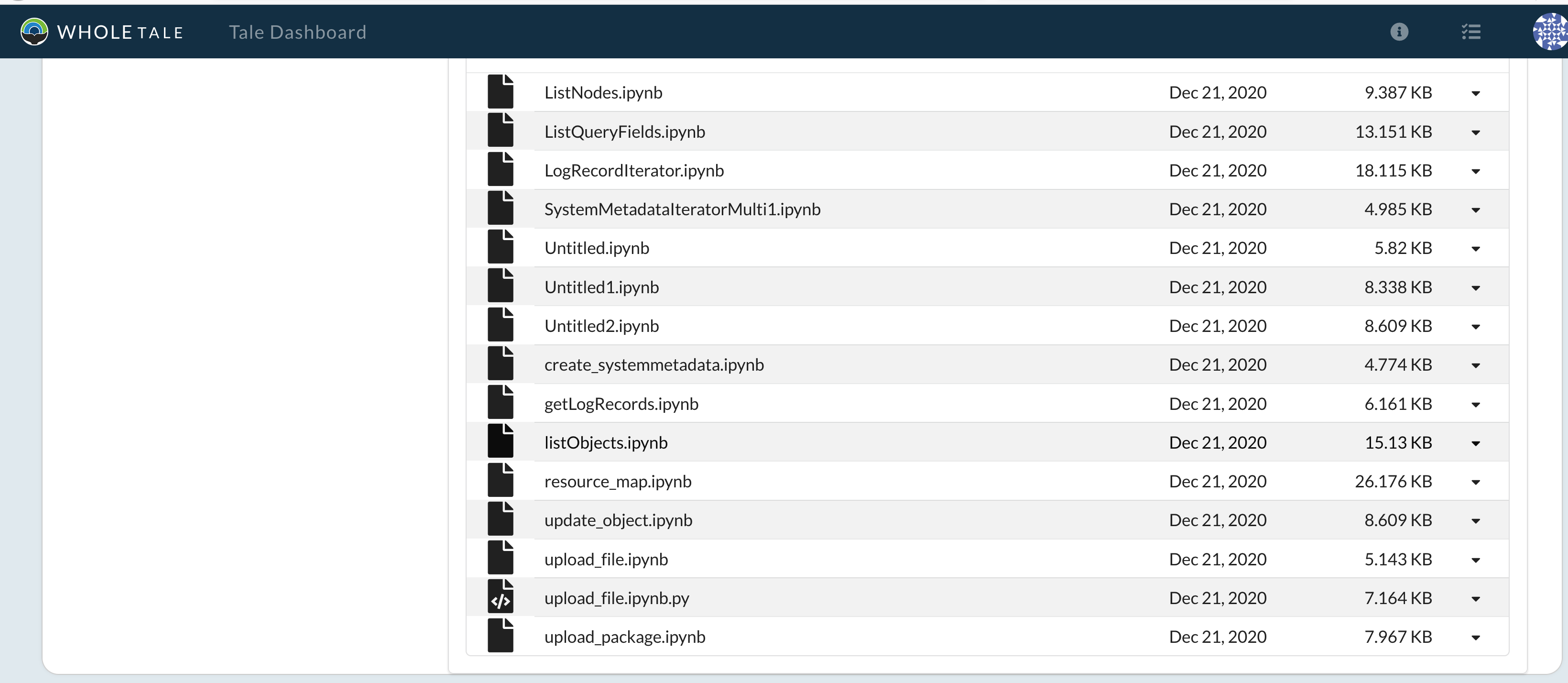 'Files' tab div overflows on small workspaces/external data · Issue #115 · whole-tale/ngx ...