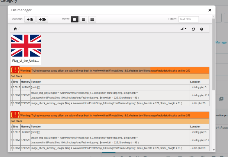 BO - A warnings are displayed in the file manager when add an SVG image extension with php8.1 ...