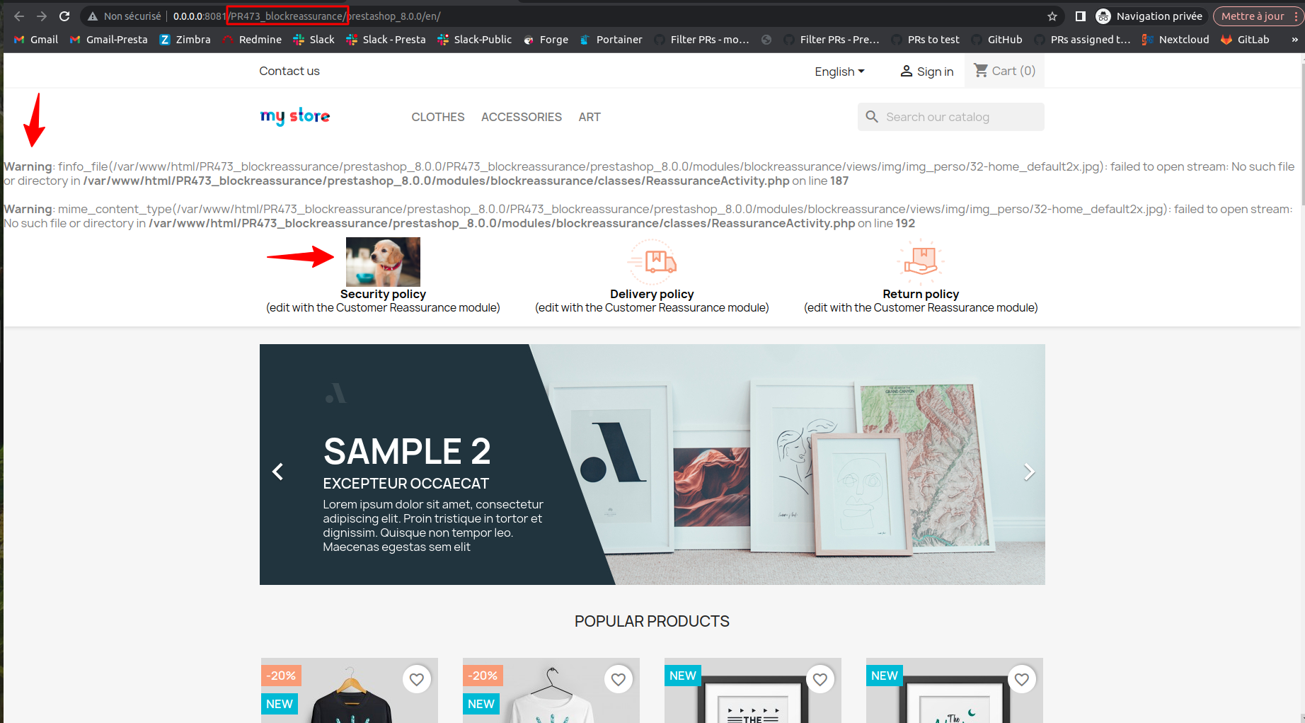 FO - Blockreassurance - An error warning is displayed on every page related to the displayed ...