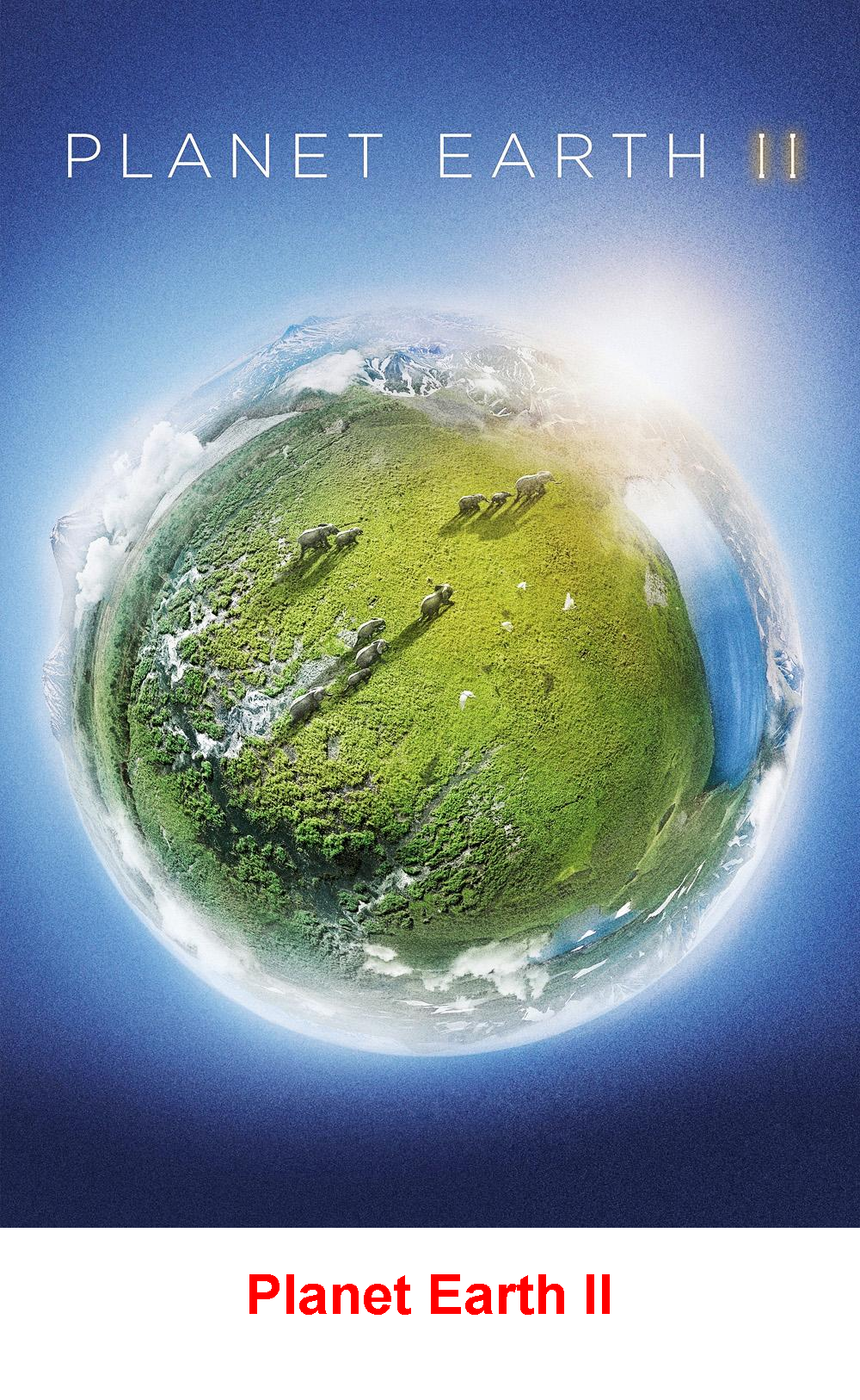 GitHub - gustavo-oliveira22/ImersaoJava