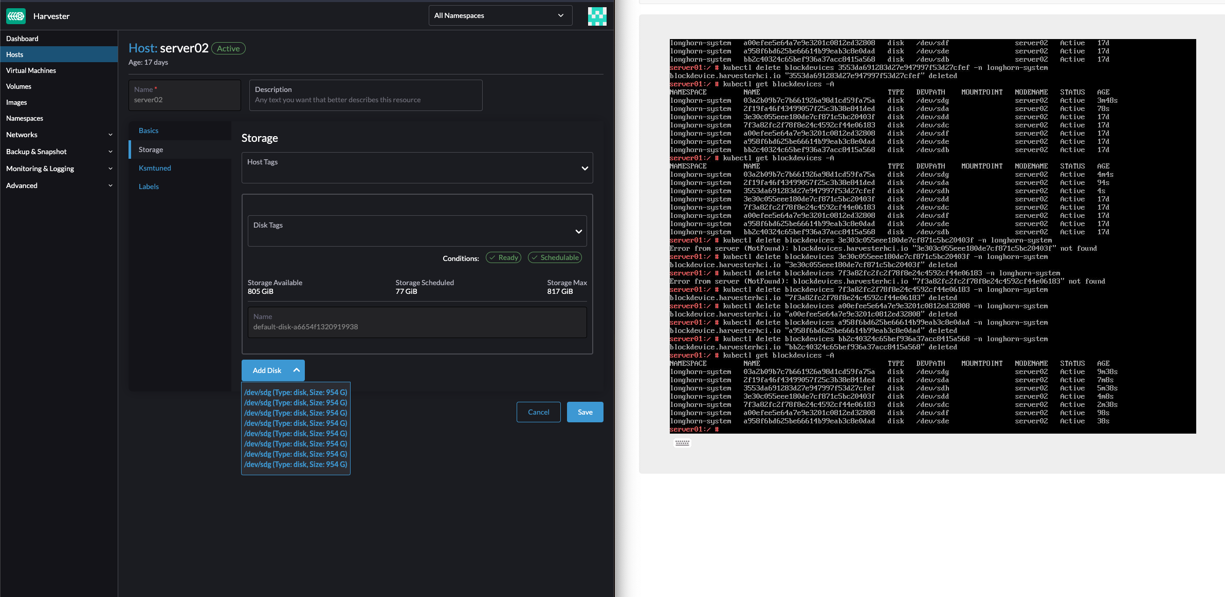 [BUG]Unable to add new disks to host / duplicate hosts listed in add disk · Issue #3412 ...