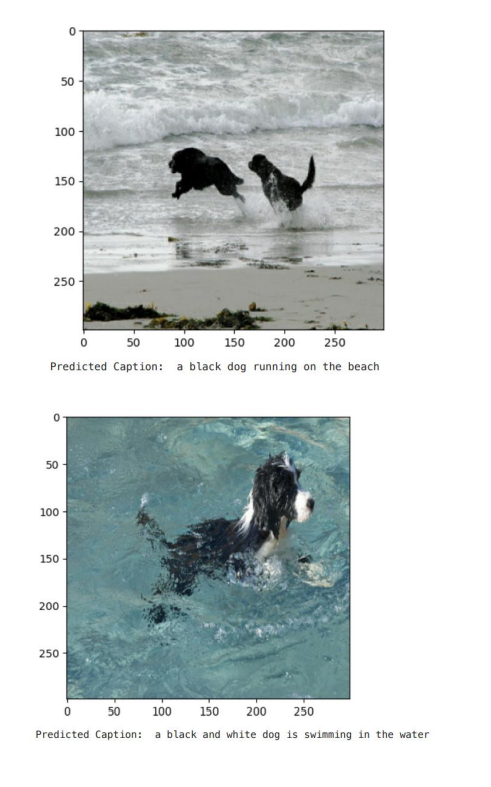 GitHub - nishchaya21/Image-Captioning: Image Captioning is the process of generating a textual ...