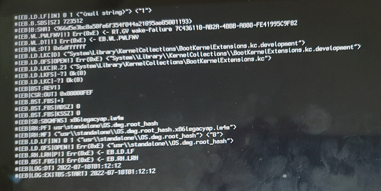 [EB|#LOG:EXITBS:START] · Issue #2326 · acidanthera/bugtracker · GitHub
