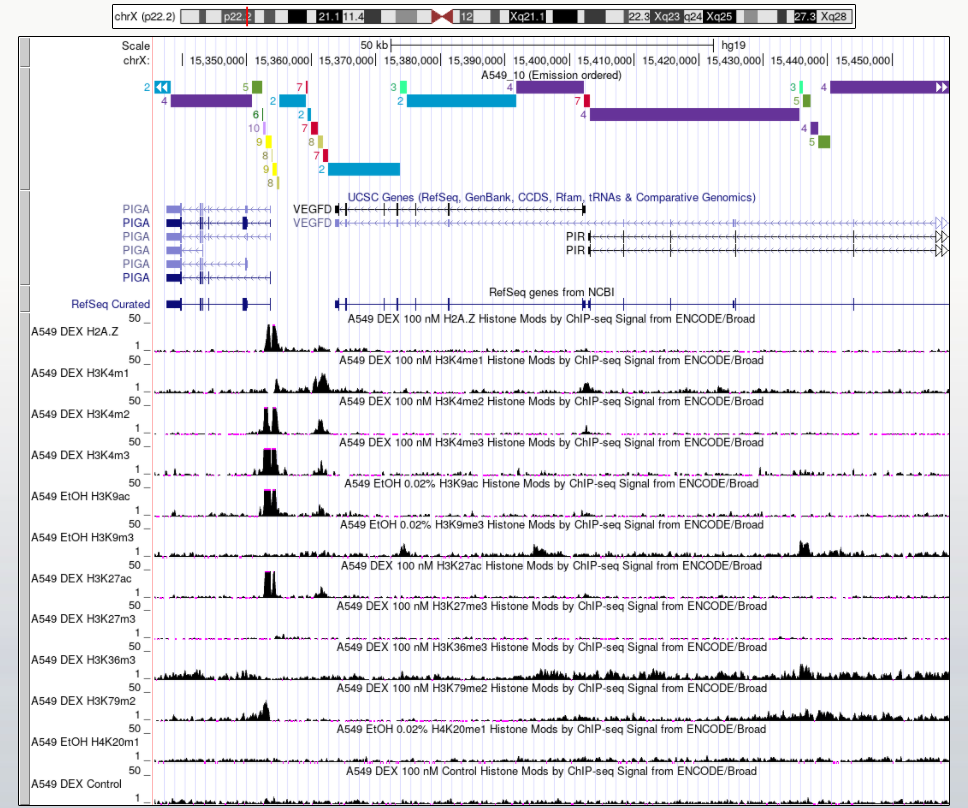GitHub - dabardonov/hse_hw3_chromhmm