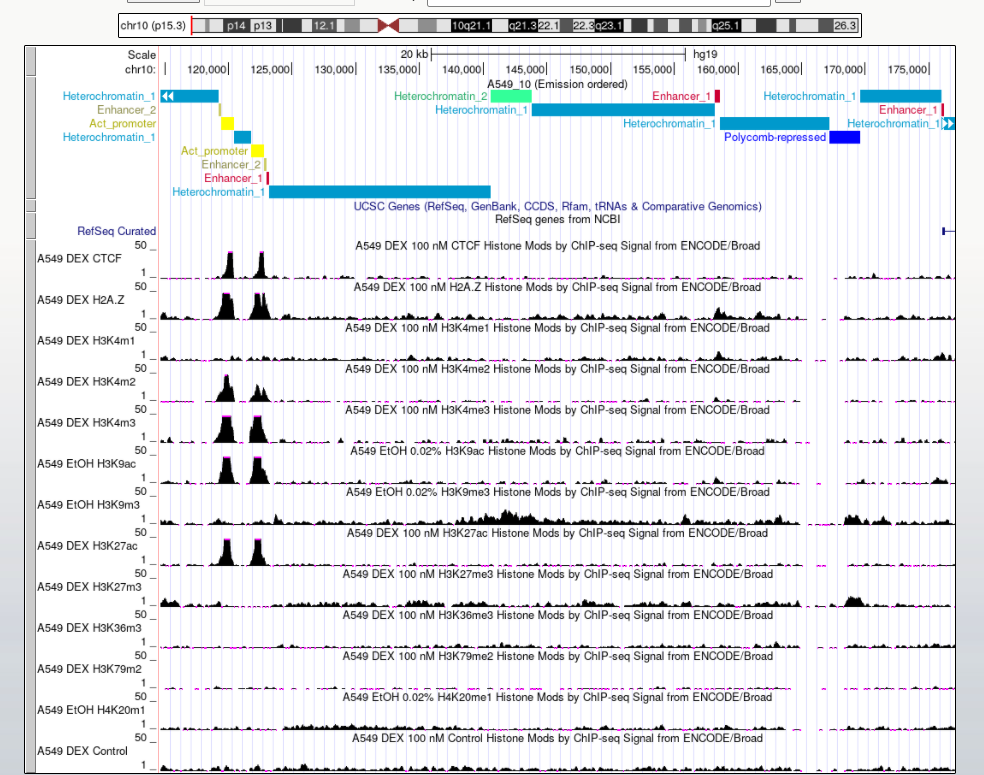 GitHub - dabardonov/hse_hw3_chromhmm