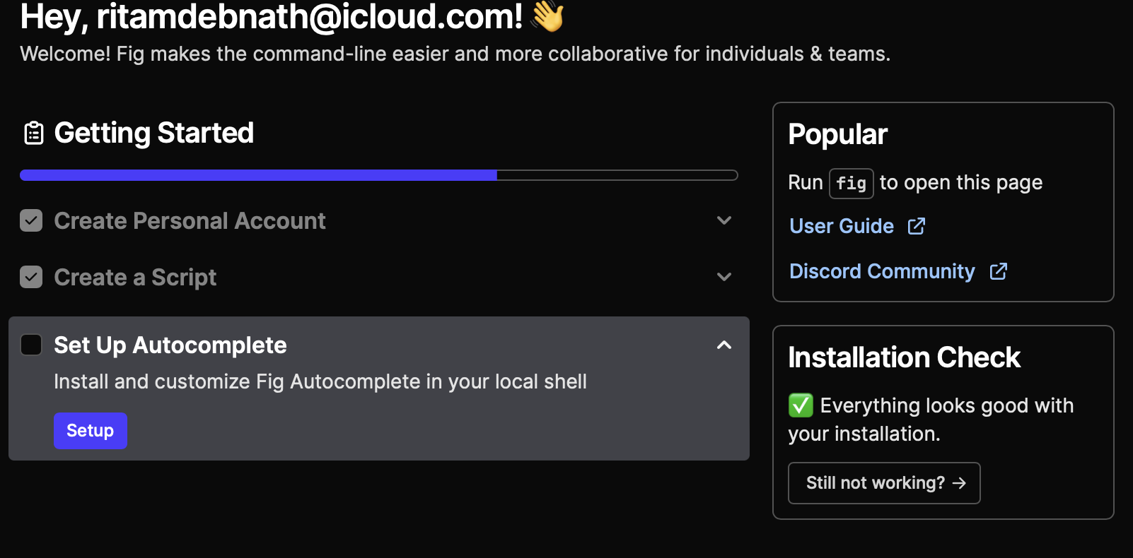 Set up autocomplete isn't completed yet · Issue #2292 · withfig/fig · GitHub