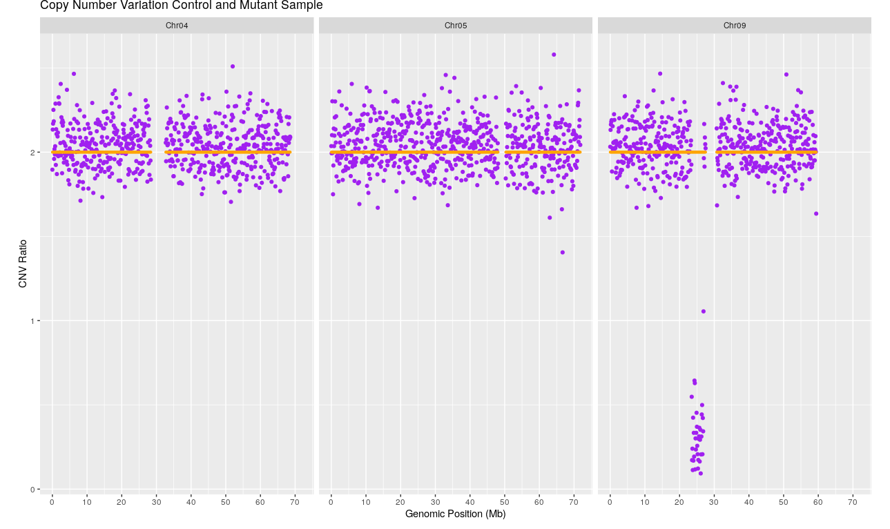 GitHub - PBGLMichaelHall/CNVseq