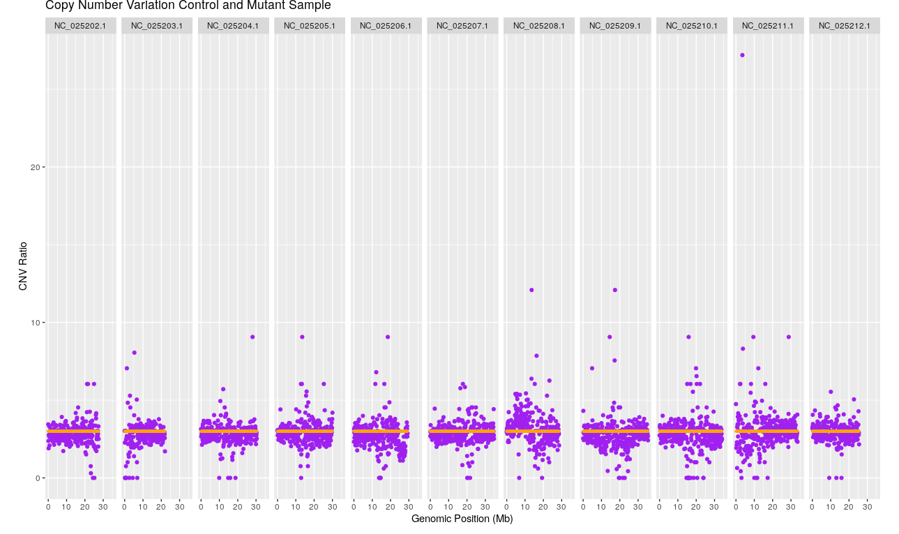 GitHub - PBGLMichaelHall/CNVseq