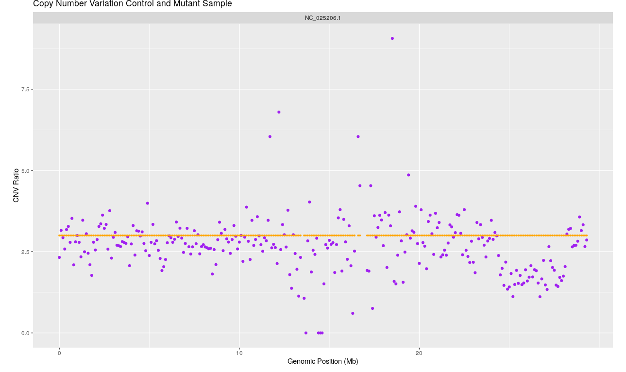 GitHub - PBGLMichaelHall/CNVseq