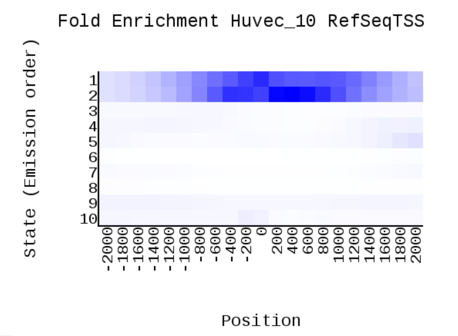 GitHub - SonOfFlowers/hse_hw3_chromhmm-2