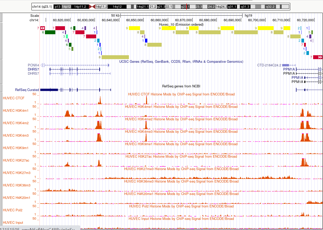 GitHub - edsheychenko/hse_hw3_chromhmm-1