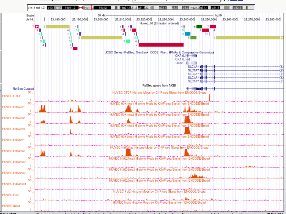 GitHub - edsheychenko/hse_hw3_chromhmm-1