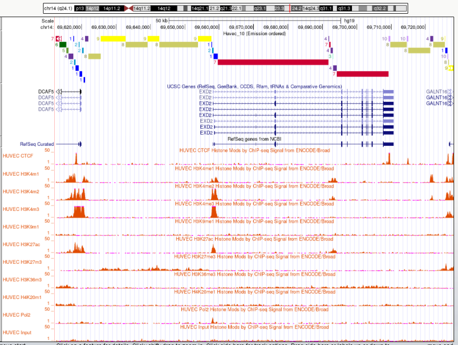 GitHub - edsheychenko/hse_hw3_chromhmm-1