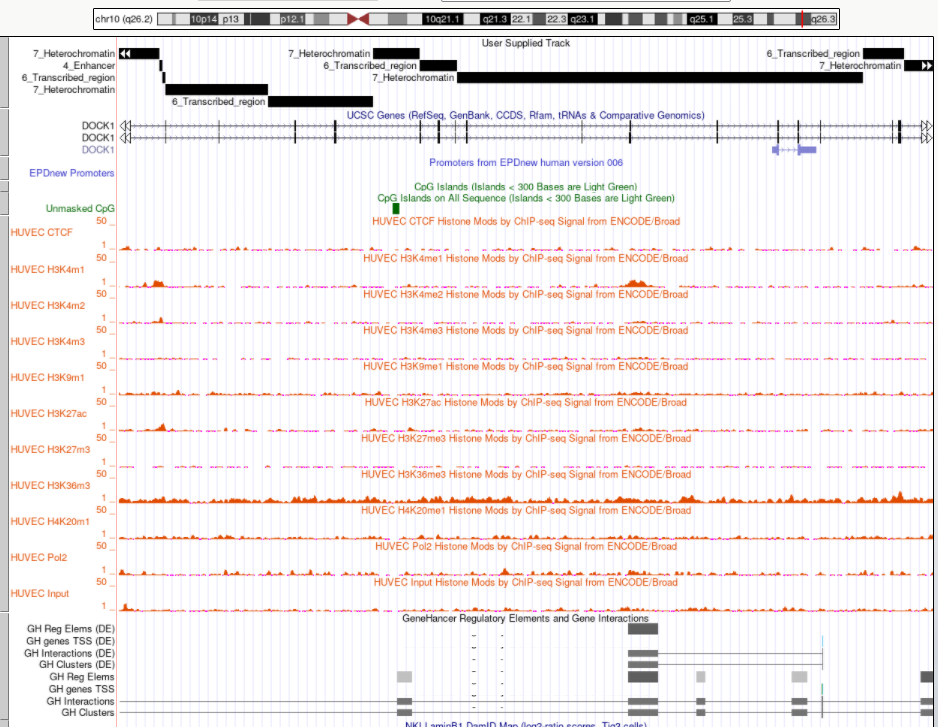 GitHub - alexburde/hse_hw3_chromhmm