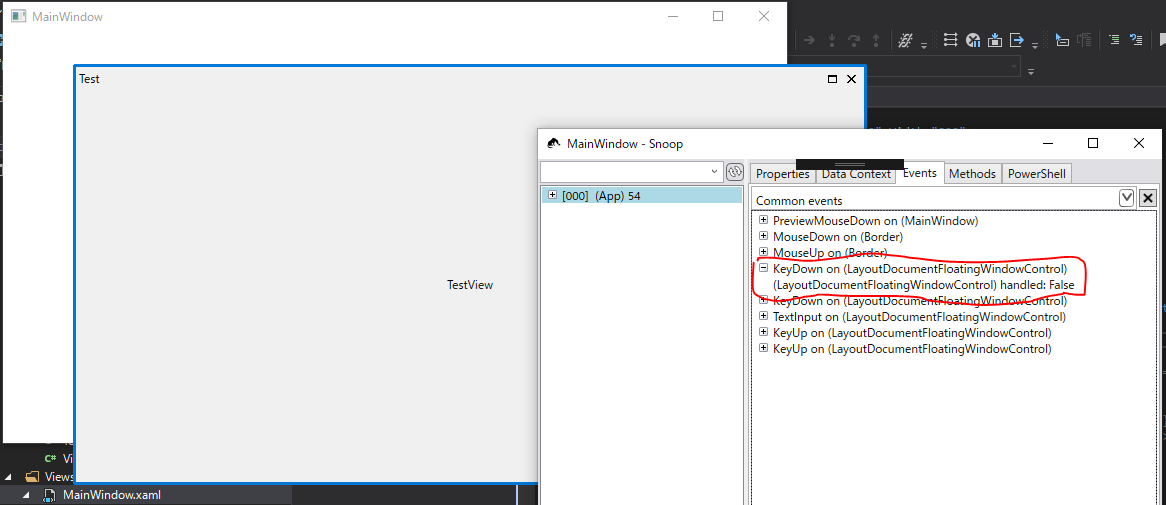 InputBinding and keyBinding doesn't work when dockable window state is ...