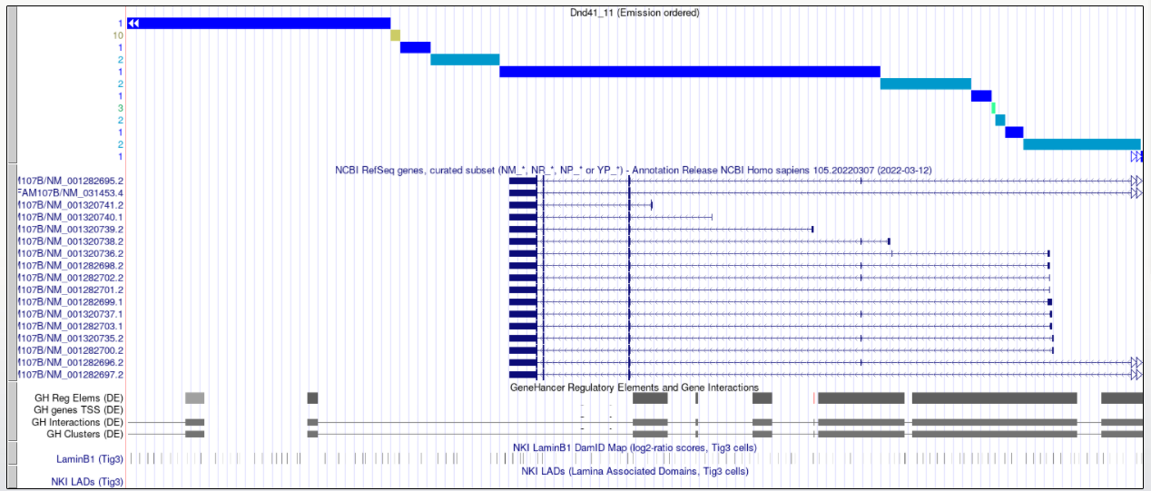 GitHub - SonOfFlowers/hse_hw3_chromhmm