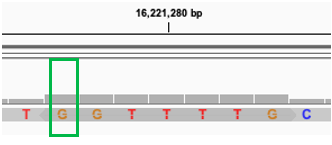 Samtools 1.15.1 Incorrect Quality Scores for Overlapping Reads · Issue ...