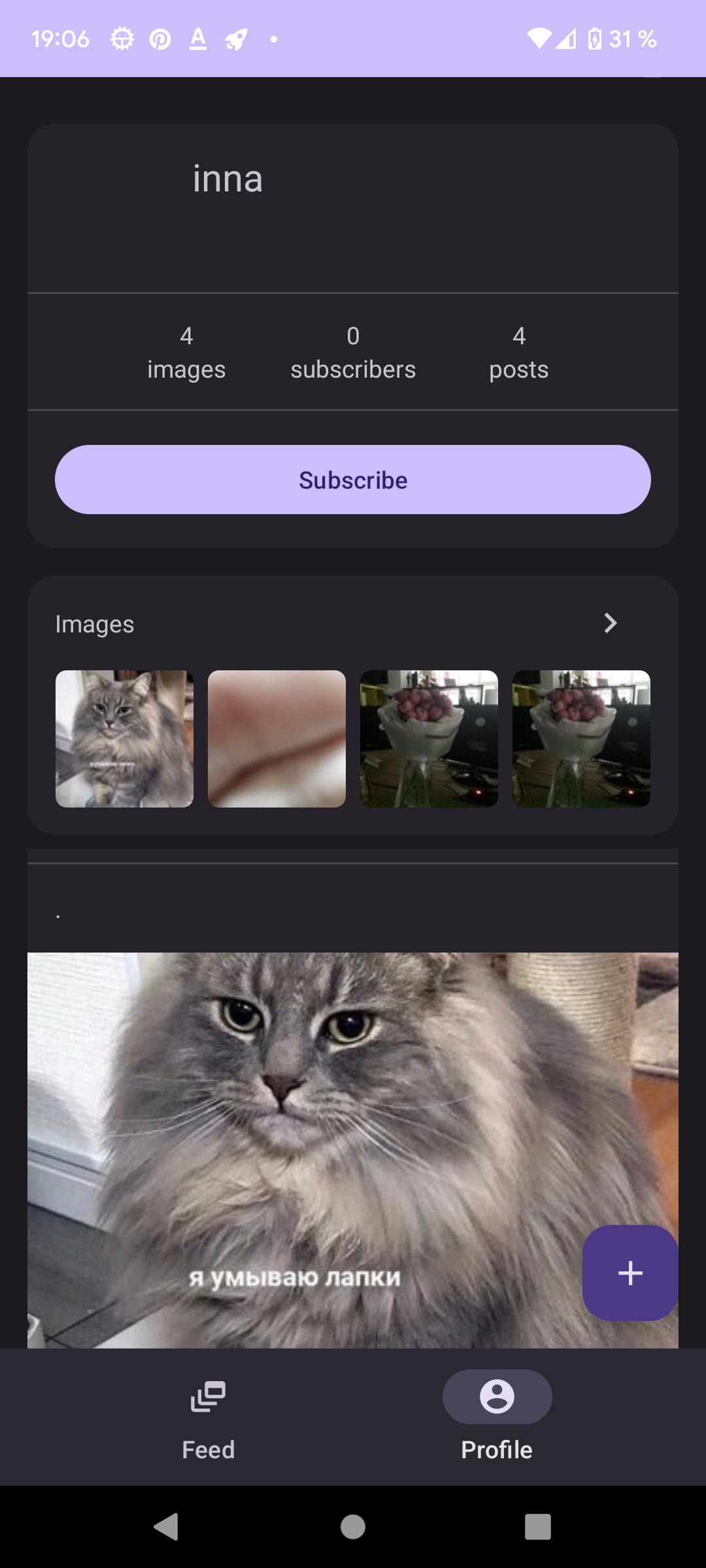 GitHub - InnaTsvetkova/NanoPost