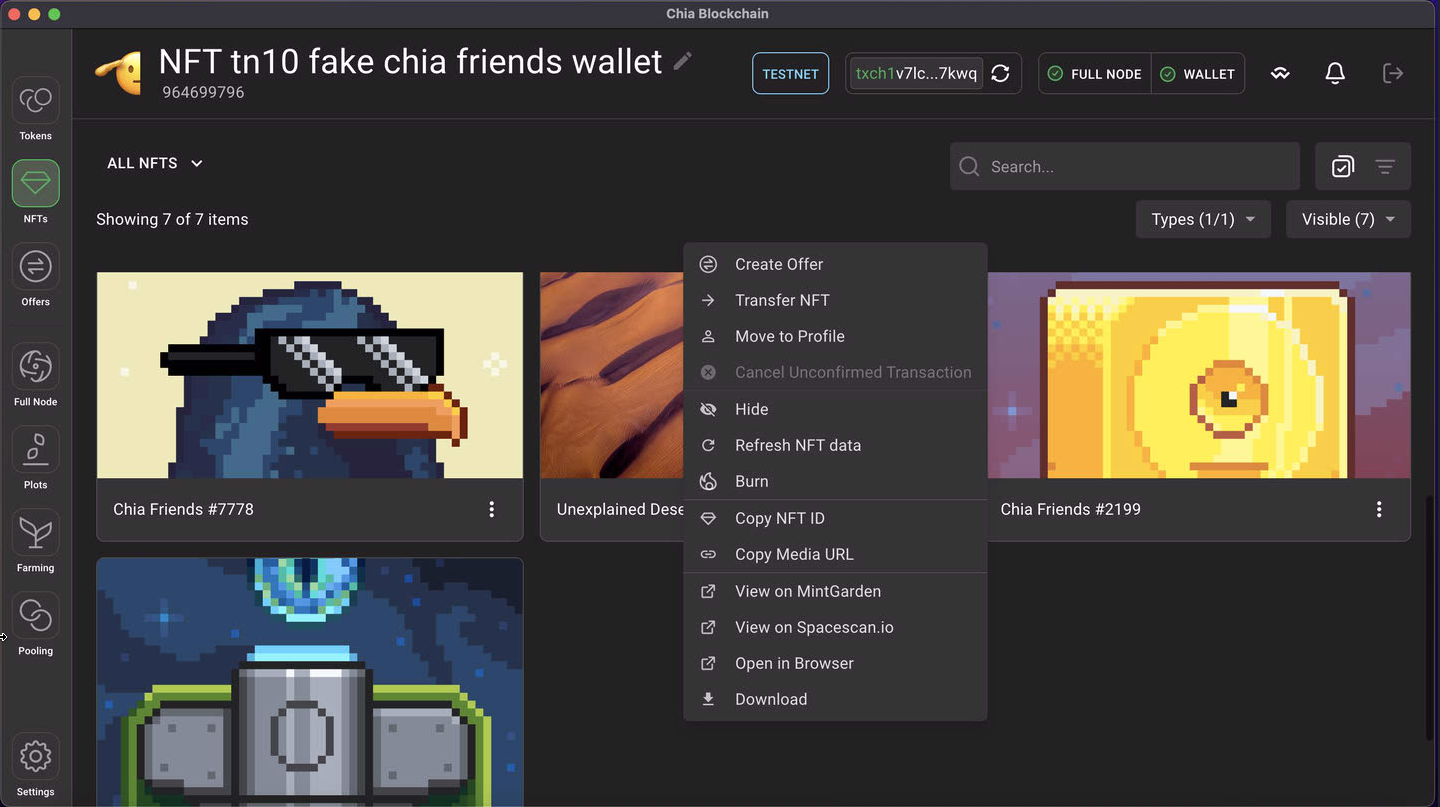 [Bug] 1.8.0b4-dev30 GUI continues to report invalid metadata URI for NFT after valid one added ...