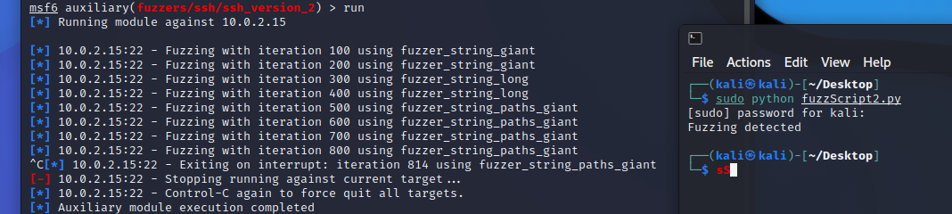 GitHub - nirmeir/Fuzzing-Detection